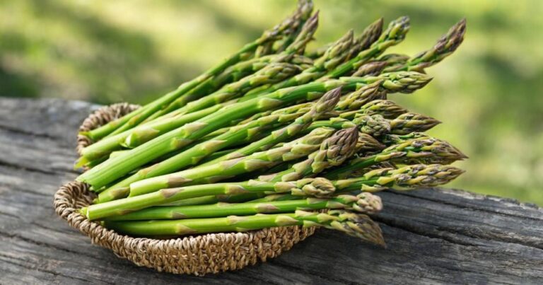 Best Asparagus: 7 Powerful Picks & Substitutes in New York